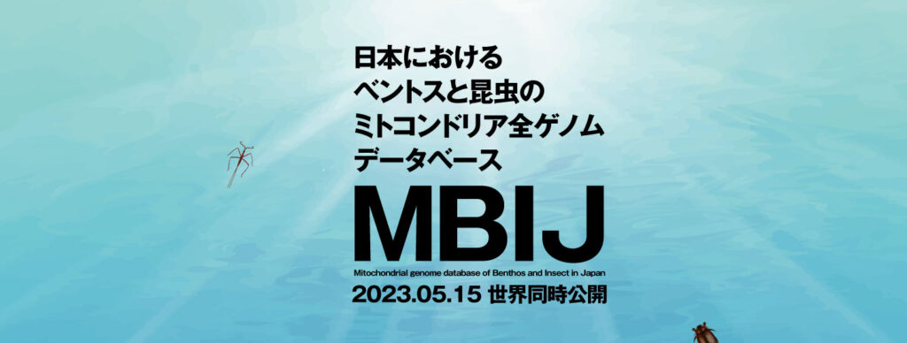 ITS1領域：ITS1F_KYO1 – ITS2_KYO2 プライマー情報 | 株式会社生物技研